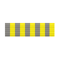 Texas Outstanding Service Medal Ribbon