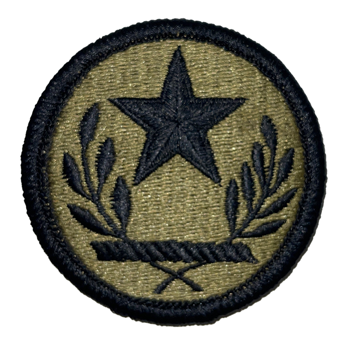 Texas Army National Guard HQ SSI Patch