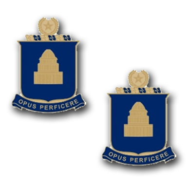 TXSG Distinctive Unit Insignia - Pair